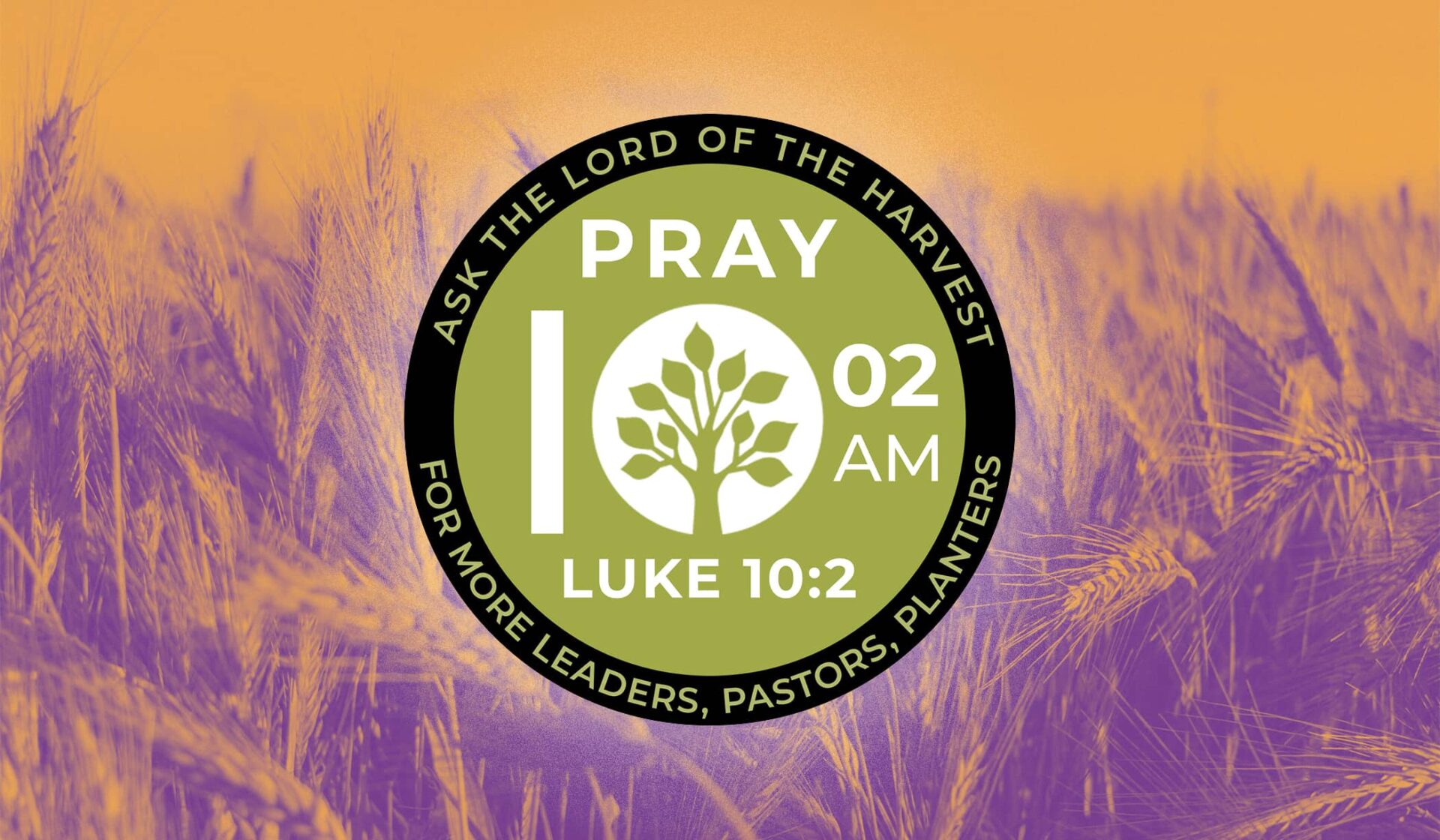 Home - Northwest Conference